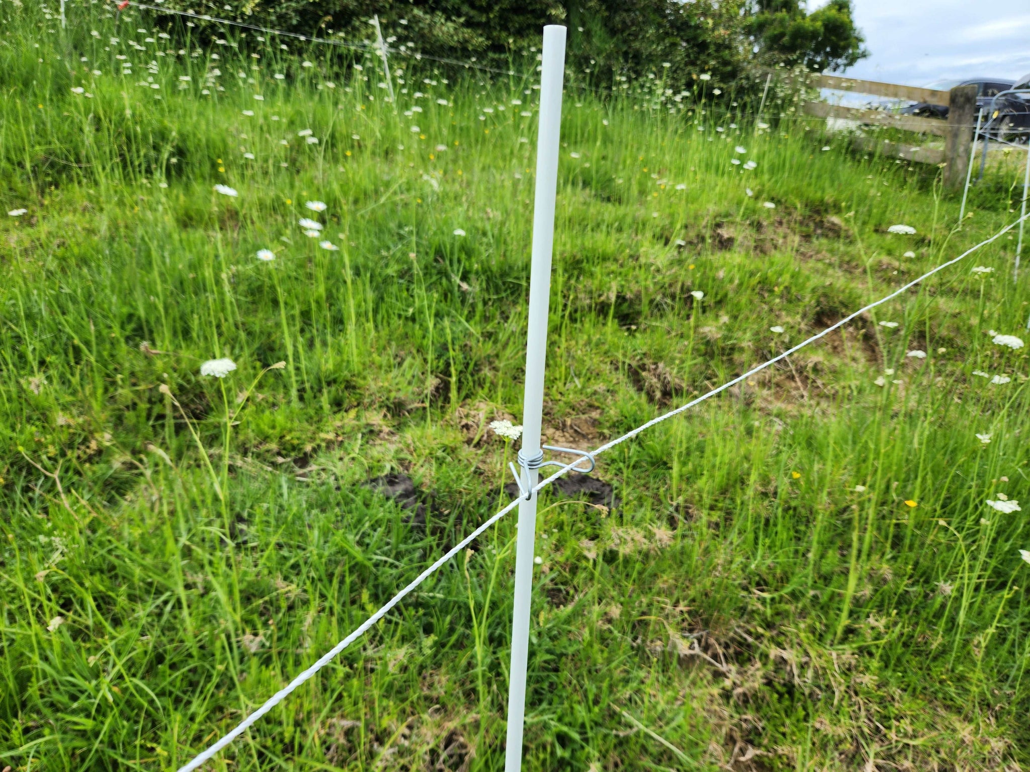 Fibreglass Rod NZ Spring Clip - Standard – FarmShop